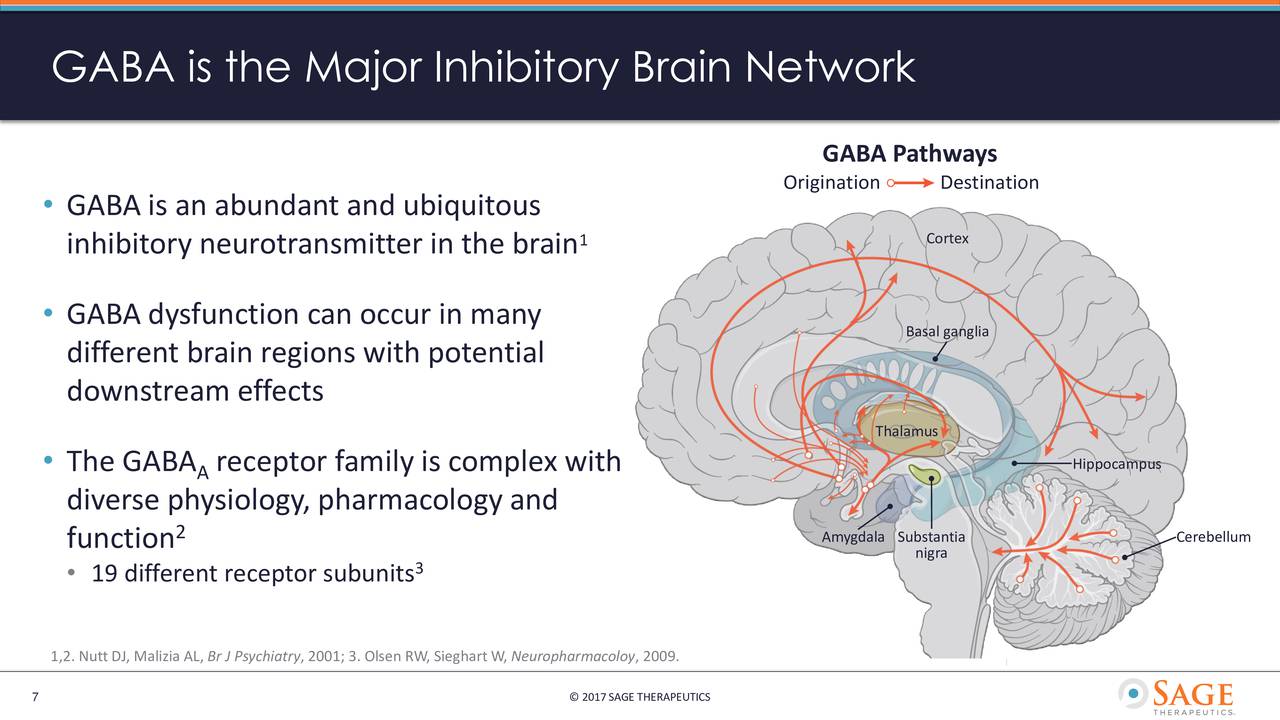 Sage Therapeutics (SAGE) presents at 35th Annual J.P. Morgan Healthcare ...