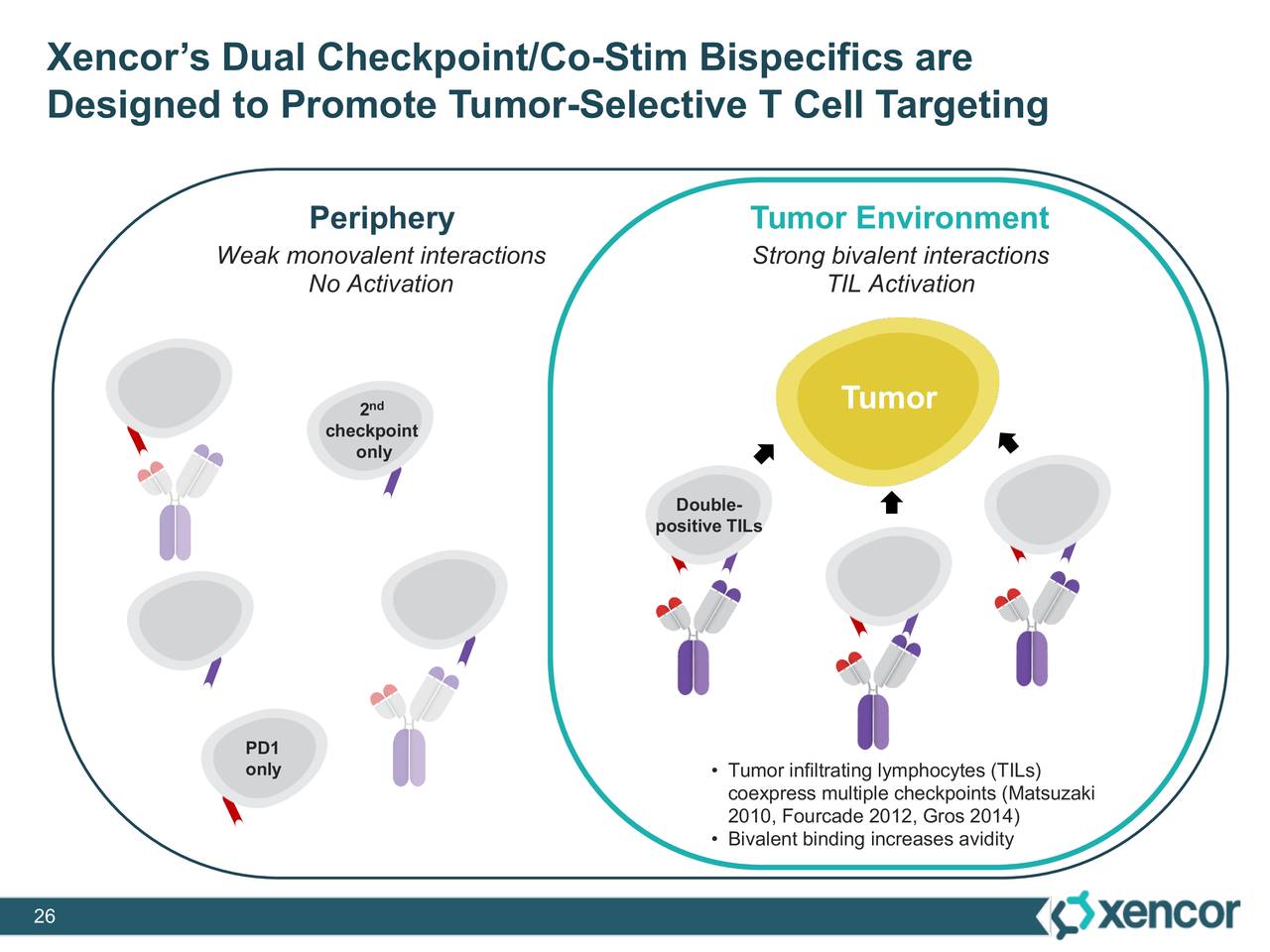 Xencor, Inc. 2020 Q2 - Results - Earnings Call Presentation (NASDAQ ...
