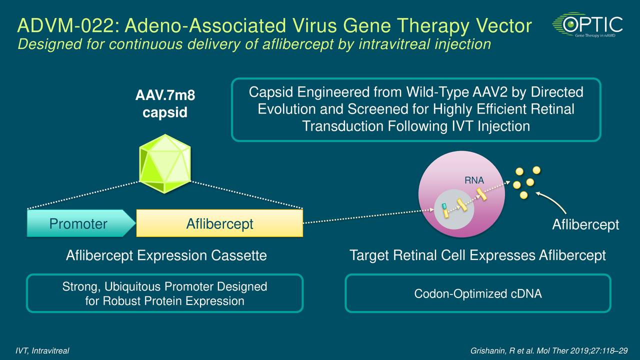 Adverum Biotechnologies, Inc. 2020 Q2 - Results - Earnings Call ...