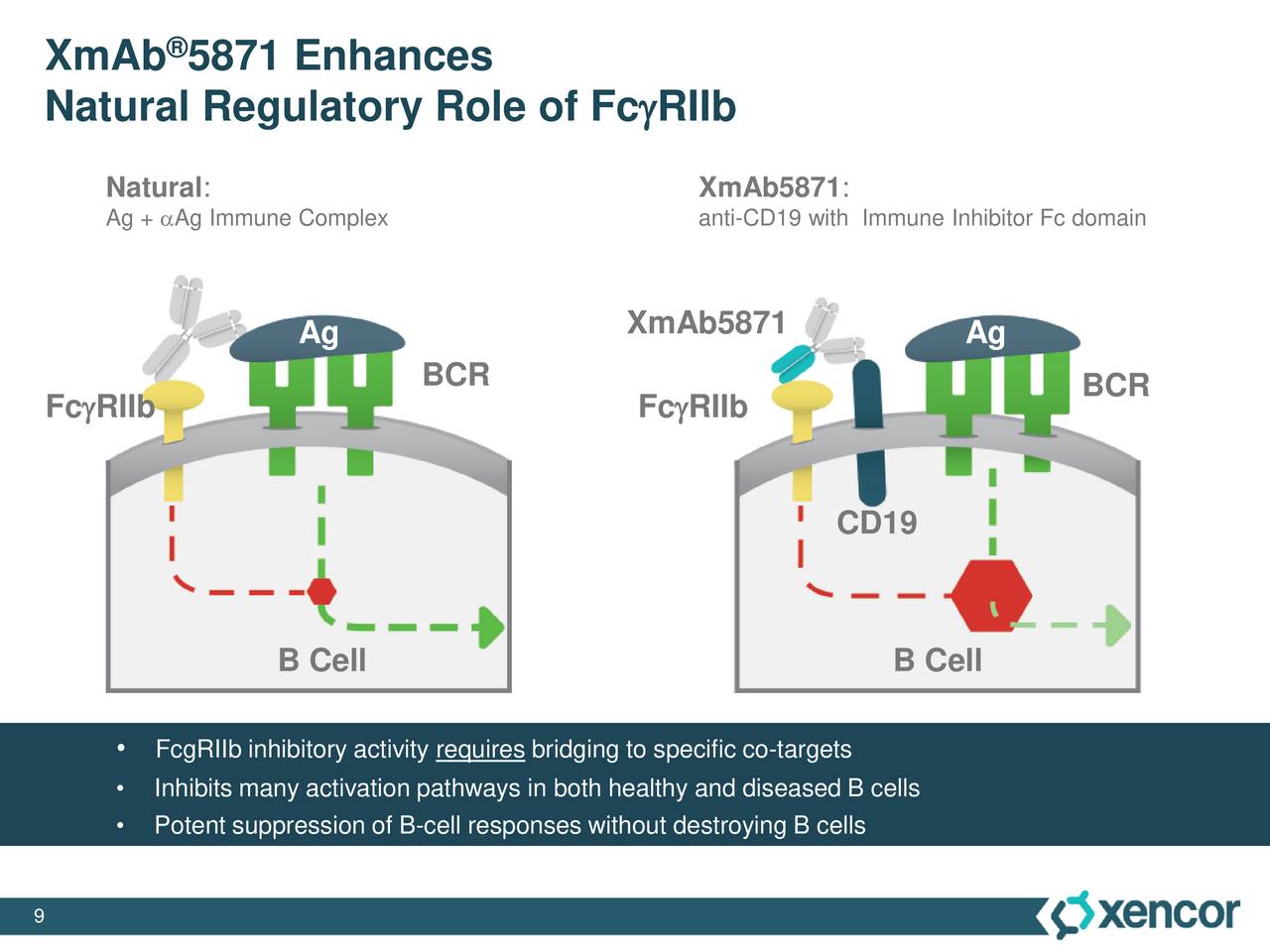 Xencor (XNCR) Presents At Oppenheimer 27th Annual Healthcare Conference ...