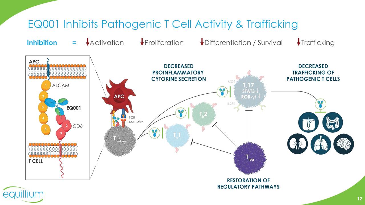 Equillium (EQ) Investor Presentation - Slideshow (NASDAQ:EQ) | Seeking ...