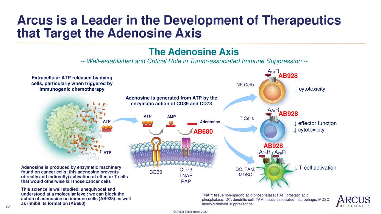 Arcus Biosciences (RCUS) Investor Presentation - Slideshow (NYSE:RCUS ...