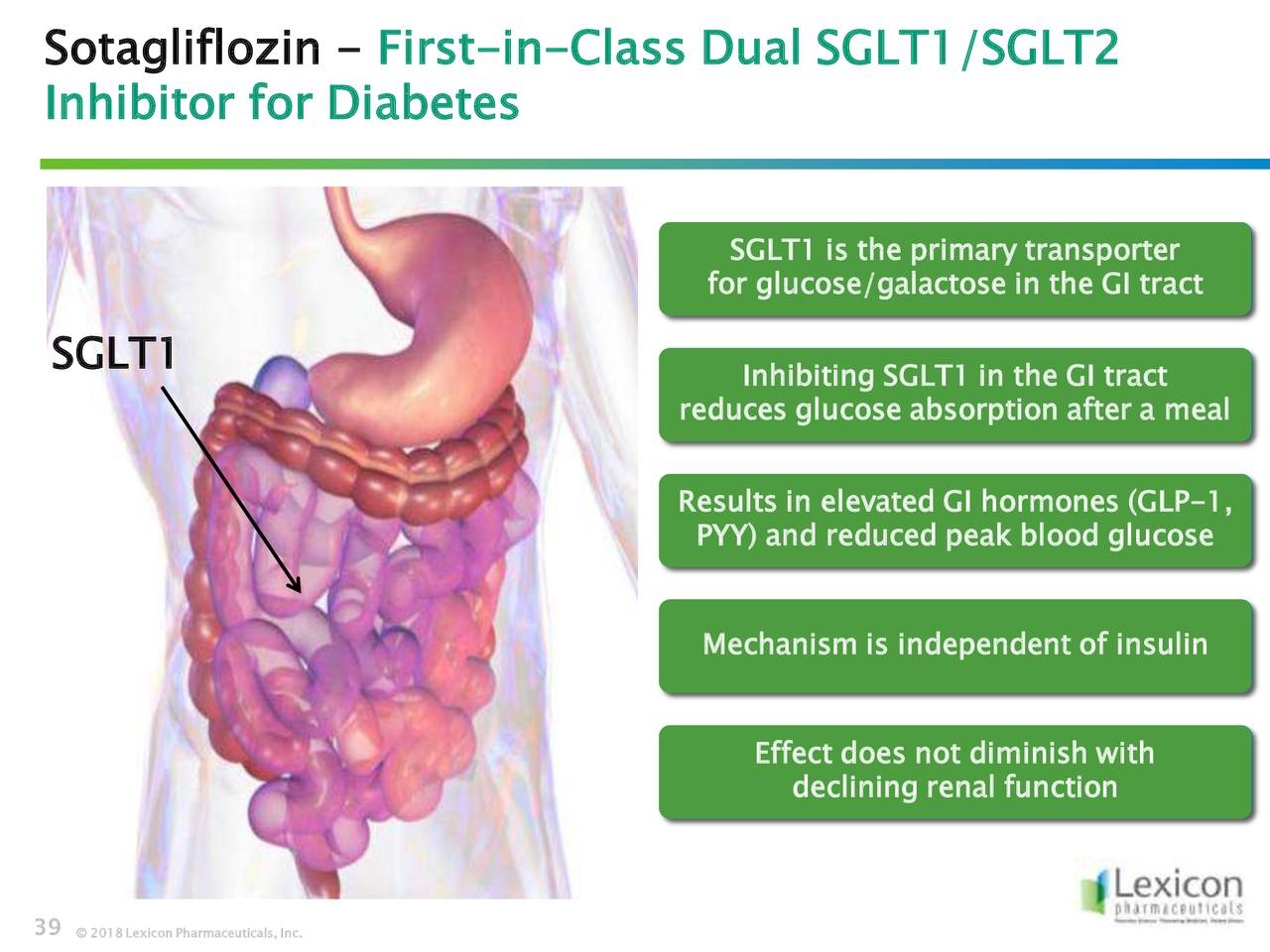 Lexicon Pharmaceuticals (LXRX) Investor Presentation - Slideshow ...