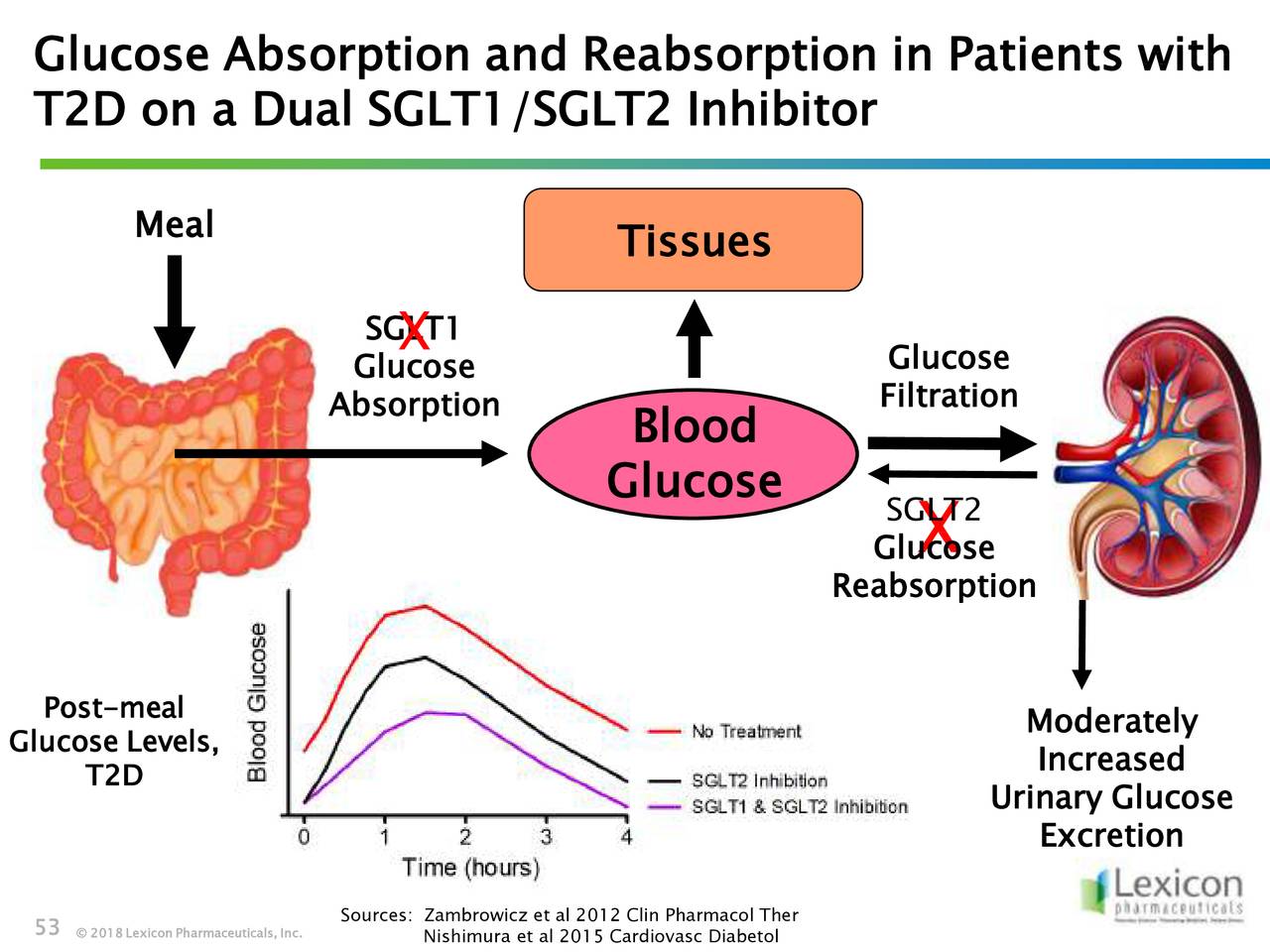 Lexicon Pharmaceuticals (LXRX) Investor Presentation - Slideshow ...